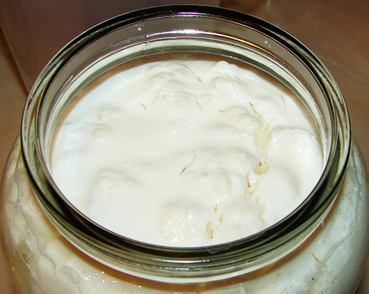 Kefir – procedeu | GreenZoneLife